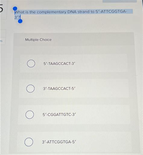 Solved What is the complementary DNA strand to | Chegg.com