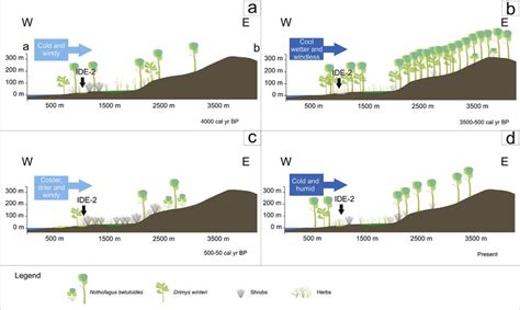 Vegetation Reconstruction Based On The Pollen Record At Ide 2 Site And