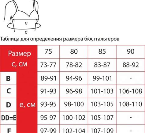 Как определить размер бюстгальтера
