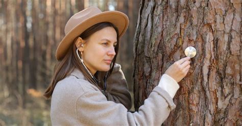 Tree Care Myths Debunked Rolling Fields Tree Farm