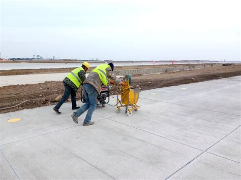 Free Sample Pu Sealant Ms Sealant Silicone Sealant Maxtech