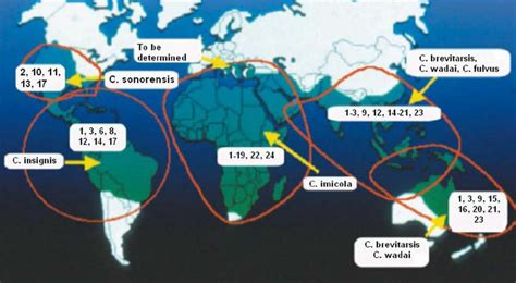 Distribution Of Btv Serotypes And Major Vectors Credits W J Download Scientific Diagram