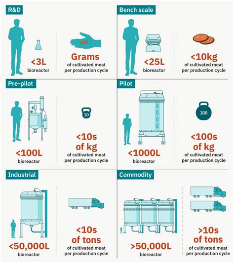 Trends In Cultivated Meat Scale Up And Bioprocessing The Good Food