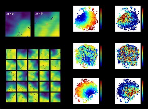 Simple Vae And Rvae Analysis With Conditions Of Experimental Pfm Data
