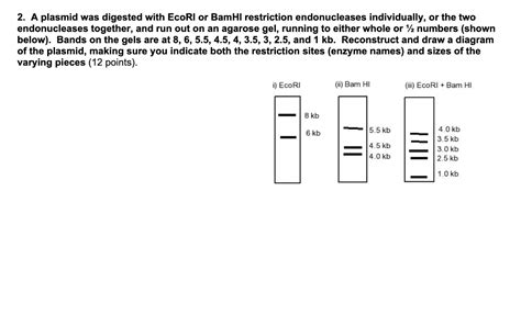 Solved 2 A Plasmid Was Digested With Ecori Or Bamhi