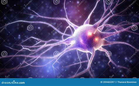 Neurons Are Vital For Brain Function Showcasing Complex Signal Transmission Through Axons