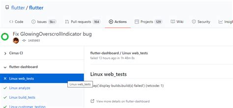 The Pr Checks Failed By Accident And The Contributors Can Not Retry