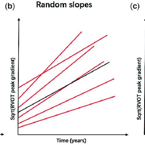Explanations Of Random Intercepts Random Slopes And Random Nonlinear