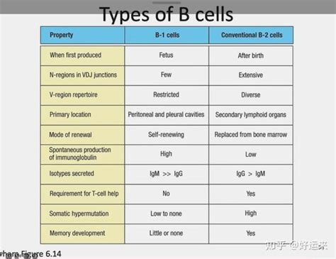 B细胞发育与选择2 知乎