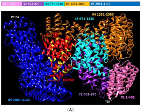 Figure 1 From The Role Of Low Complexity Regions In Protein Interaction Modes An Illustration