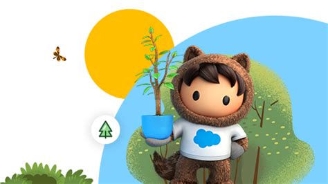 What Is Net Zero Cloud And How It Helps Businesses Achieve Carbon Neutrality Salesforce