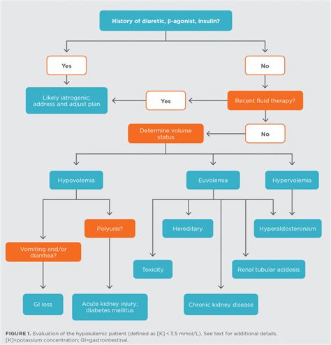 Evaluation And Management Of The Hypokalemic Patient