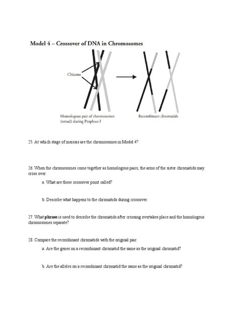 Crossover Of Dna In Chromosomes Pdf
