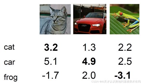 计算机视觉 第二章 损失函数和优化 模型的表现有多糟糕？优化模型损失函数 Csdn博客
