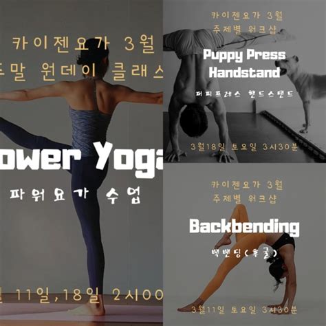 3월 퍼피프레스 핸드스탠드 And 백밴딩 요가워크샵 파워 요가 원데이클래스 참가접수 시작 부산 요가워크숍후굴 요가원데이 3월 퍼피프레스 핸드스탠드 And 백밴딩 요가워크샵 파워 요가 원데이클래스 참가접수 시작 부산 요가워크숍후굴 요가원데이
