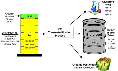 Timbuktu Chronicles Making Biofuels Work For The Bop