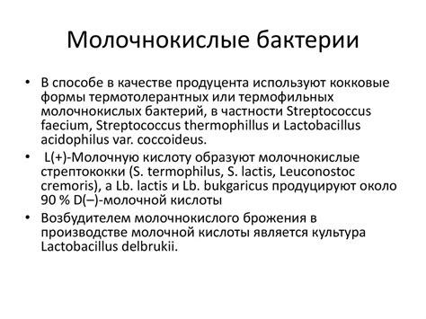 Получение молочной кислоты. Продуценты. Практическое использование ...
