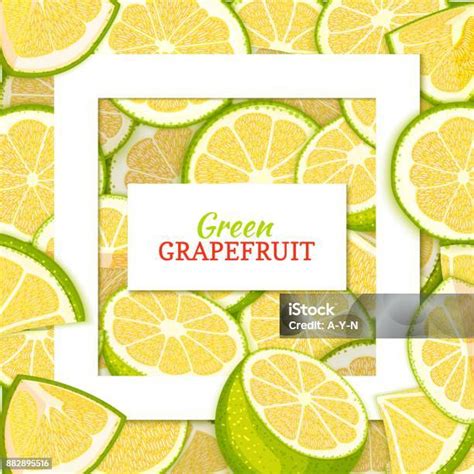 흰색 프레임 및 감귤 류 녹색 자 몽 배경 사각형 레이블 광장 벡터 카드 그림입니다 열 대 신선한 달콤한 포 멜로 밀접 하 게 간격을 포장 주스 아침의 디자인에 대 한 배경