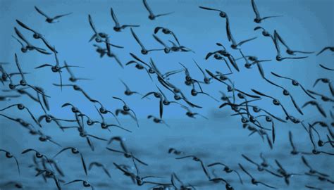 Migrate From Angularjs To React Michael Mcshinsky