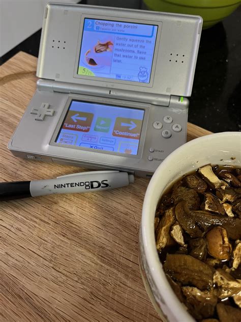 Anyone Knows Good Quality Dsi Xl Housing Shell Replacement Manufacturer