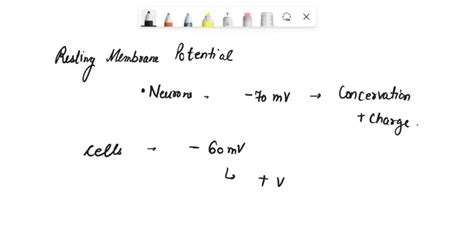 Solved Q2 What Are The Differences Between A Dual Chamber Pacemaker