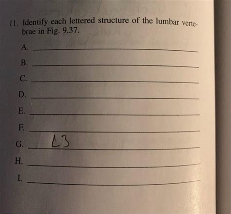 solved 11 identify each lettered structure of the lumbar