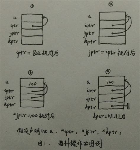 C语言指针详解 Csdn博客