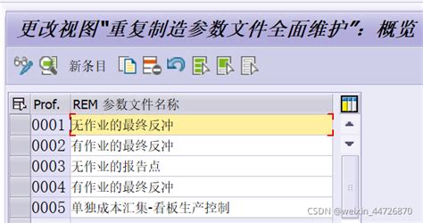 sap重复制造 csdn博客