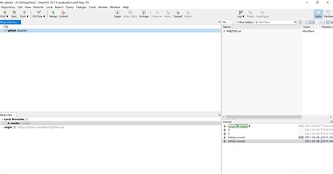 Smartgit使用教程，基本操作到远程仓库使用git老刘mask Gitcode 开源社区