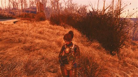 Legacy Family Planning Enhanced Assorted Addon S Other LoversLab