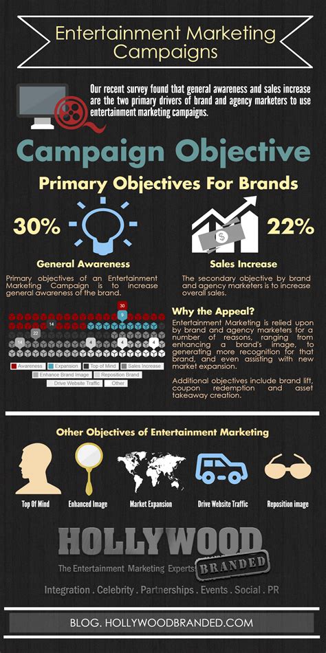 Advertising Campaign Infographic