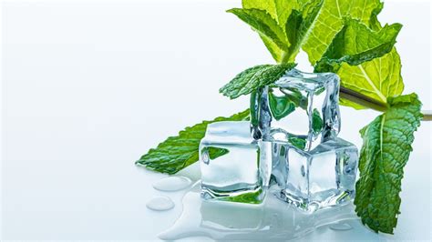 Menthol ECSA Chemicals