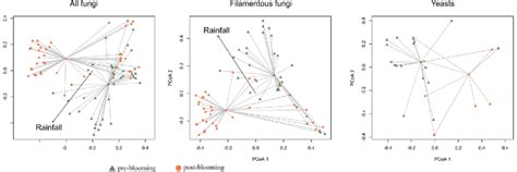 Principal Coordinate Analysis Pcoa Ordination Of The Endophytic Fungi