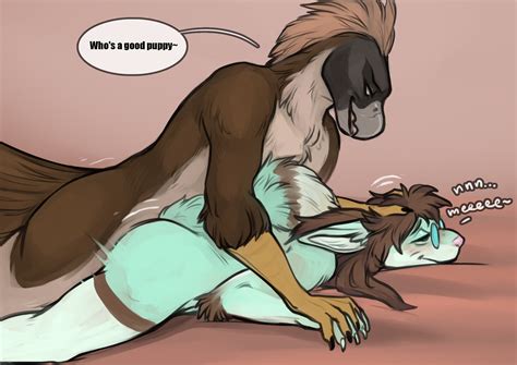 Rule 34 Accipitrid Accipitriform Anal Anthro Avian Bird Canid Canine