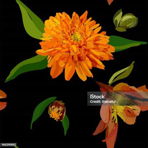 애 스 터와 백합 꽃과 잎과 꽃 완벽 한 패턴입니다 식물 그림 손으로 그린 섬유 인쇄 직물 견본 포장지입니다 과꽃에 대한 스톡 벡터 아트 및 기타 이미지 Istock