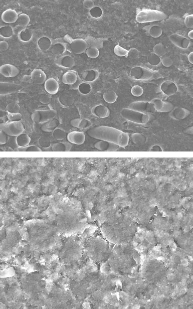Fracture Surfaces Of The Sic Sic Composites Sintered At 1750°c A
