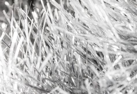 A Close Up Of A Field Of Grass With A Lot Of White And Silver Strands