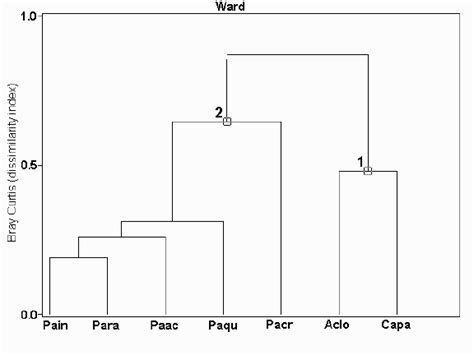 Dendrogram Showing Affinity Between Species Download Scientific Diagram