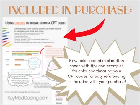 2025 Cpt Surgery Female Genital System And Endocrine System Book Notes Etsy