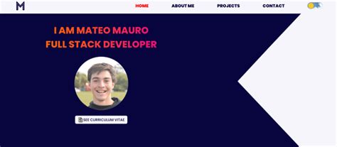 Develop Attractive And Functional Websites Expertly By Mateomauro Fiverr
