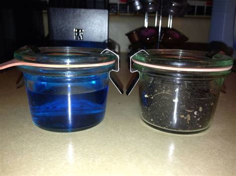days of creation sorting game in old preserve jars