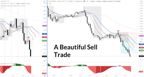 Alligator Trading Strategy 50 Key Concepts Every Trader Should Know