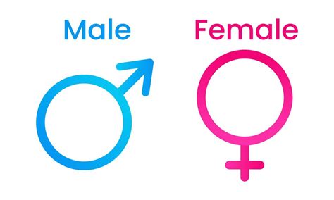 Male Female Symbols Word At Ruby Najar Blog