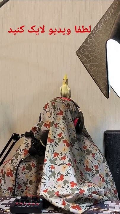 باز خوانی دله دنیارو خون کردی از زنده یاد مرتضی پاشایی شورت ویدیو آهنگ گوگوش آهنگ هنر