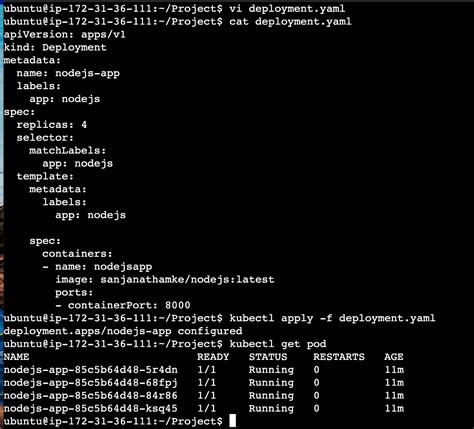 Day 32 Task Launching Your Kubernetes Cluster With Deployment By