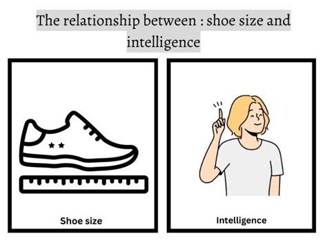 Common Examples Of Positive Negative And Zero Correlation In Real