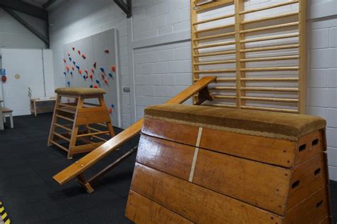 💫a Sneak Peek Inside Roots Activities💫 Roots Activities