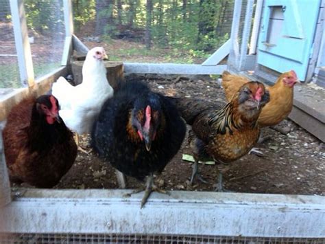 Alexa Rowan Romance Author Alexarowan Profile Pinterest