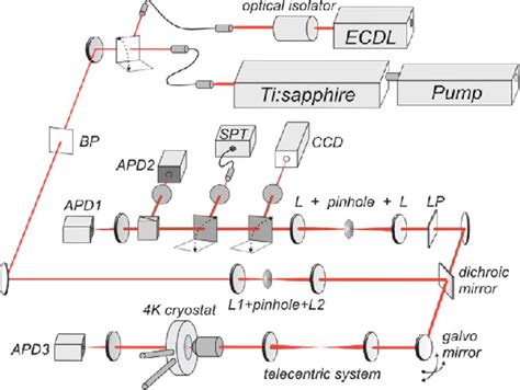 Simplified Sketch Of The Experimental Setup Fluorescence Collected