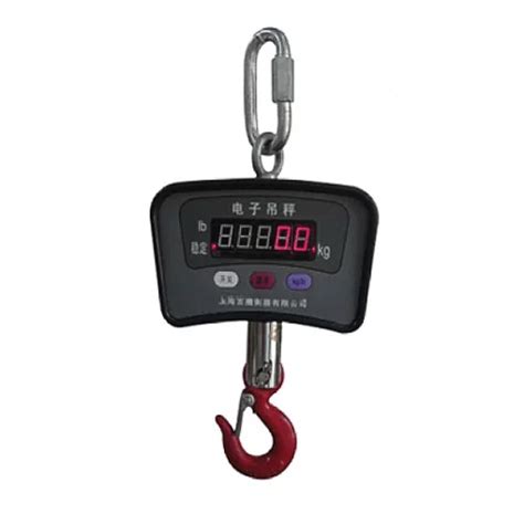 Digital Crane Scale OCS T OCS Kg Latest Price In